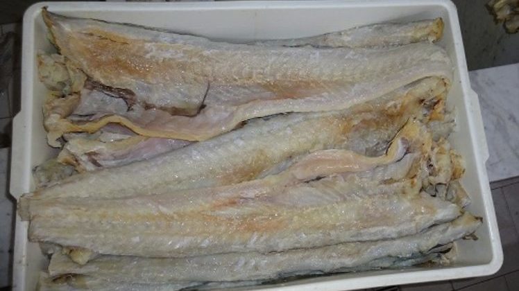 La Capitaneria di Porto, ha sequestrato 23 Kg di pescestocco a Santa ...